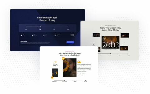 Introducing Content Slider for Divi | Divi Pixel