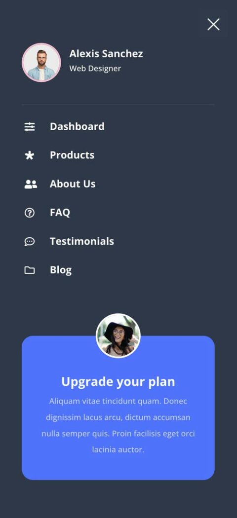 Introducing Custom Mobile Menu for Divi | Divi Pixel